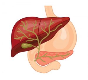Ictericia: qué es, causas, síntomas y tratamiento - Natursan