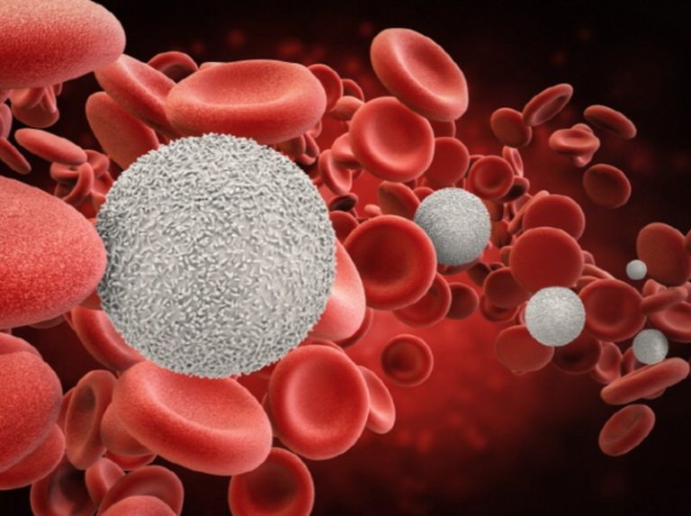 Examen de monocitos en sangre: qué es y valores normales - Natursan