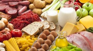 Nutrientes esenciales: qué son, beneficios y funciones - Natursan