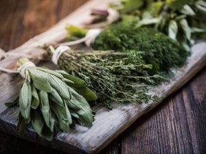 Cómo Secar Plantas Medicinales En Casa