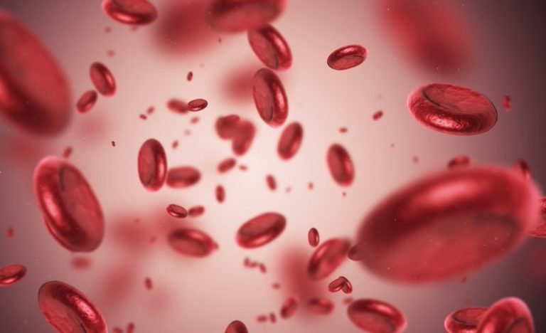 Qué es el Volumen Corpuscular Medio (VCM) y valores normales - Natursan